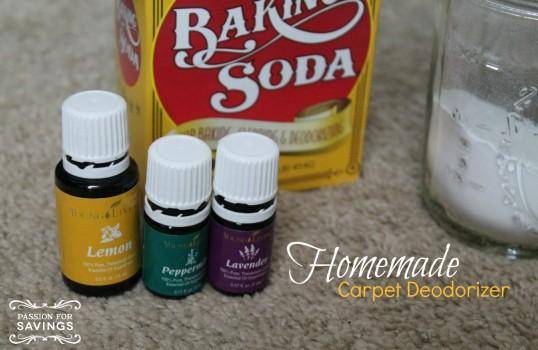 Homemade Carpet Deodorizer