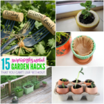 Surprising Useful Garden Hacks for Spring!