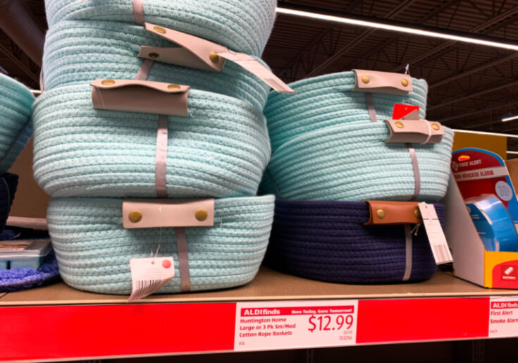 Run to get these Aldi Storage Baskets while they last!!