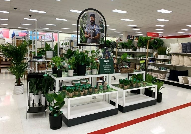 Hilton Carter Collection at Target - Get Real & Faux Plants for your Home!
