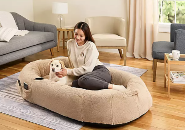 Pet beds on sale store